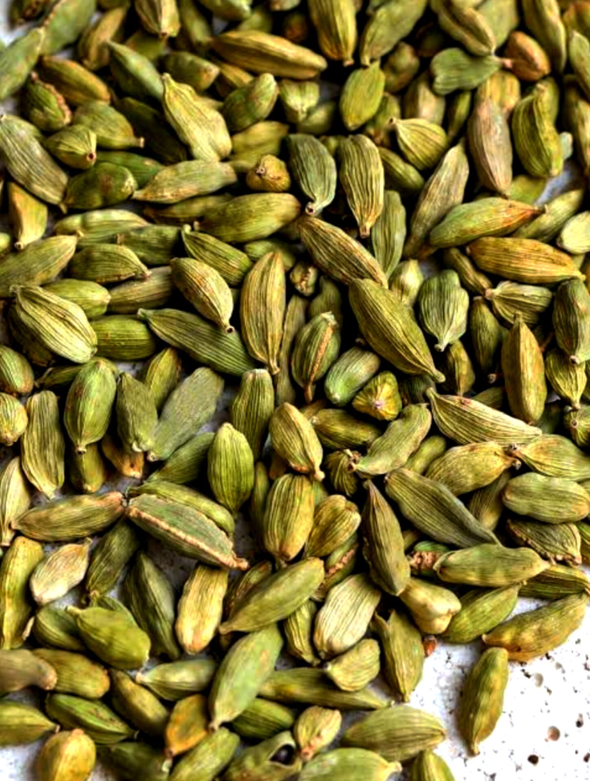 Bhargava Exports - Premium Spice Exporters | Contact Us